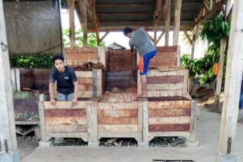 What Happens During Cacao Fermentation? - Peini Cacao